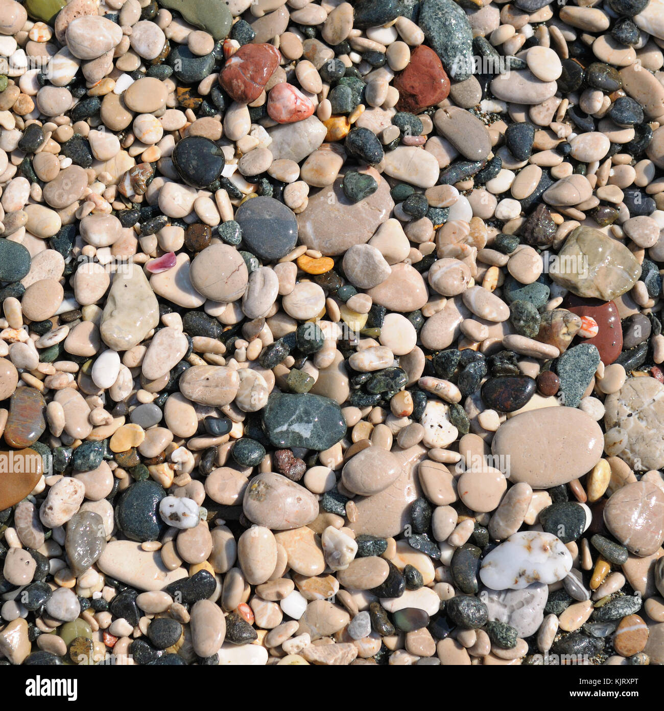 beautiful background of natural stone pebbles Stock Photo - Alamy