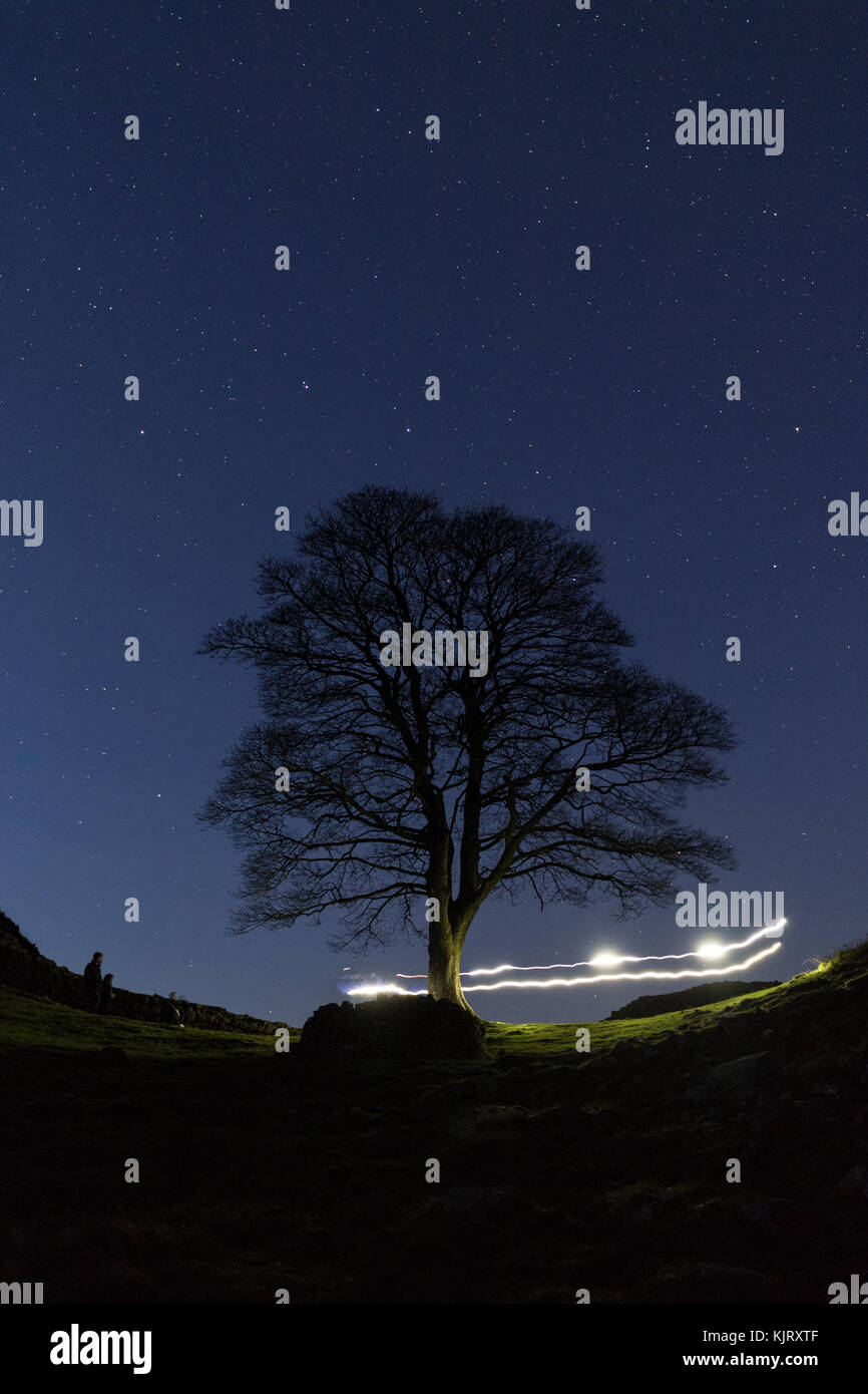Sycamore gap autumn hi-res stock photography and images - Alamy
