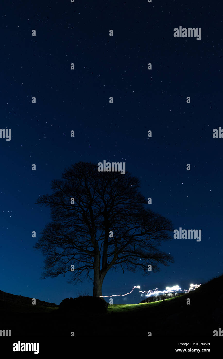 Long exposure night sky stars hi-res stock photography and images - Alamy