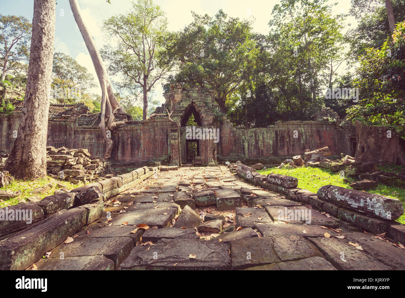 Ancient Khmer civilization ruins of Angkor near Siem Reap, Cambodia ...