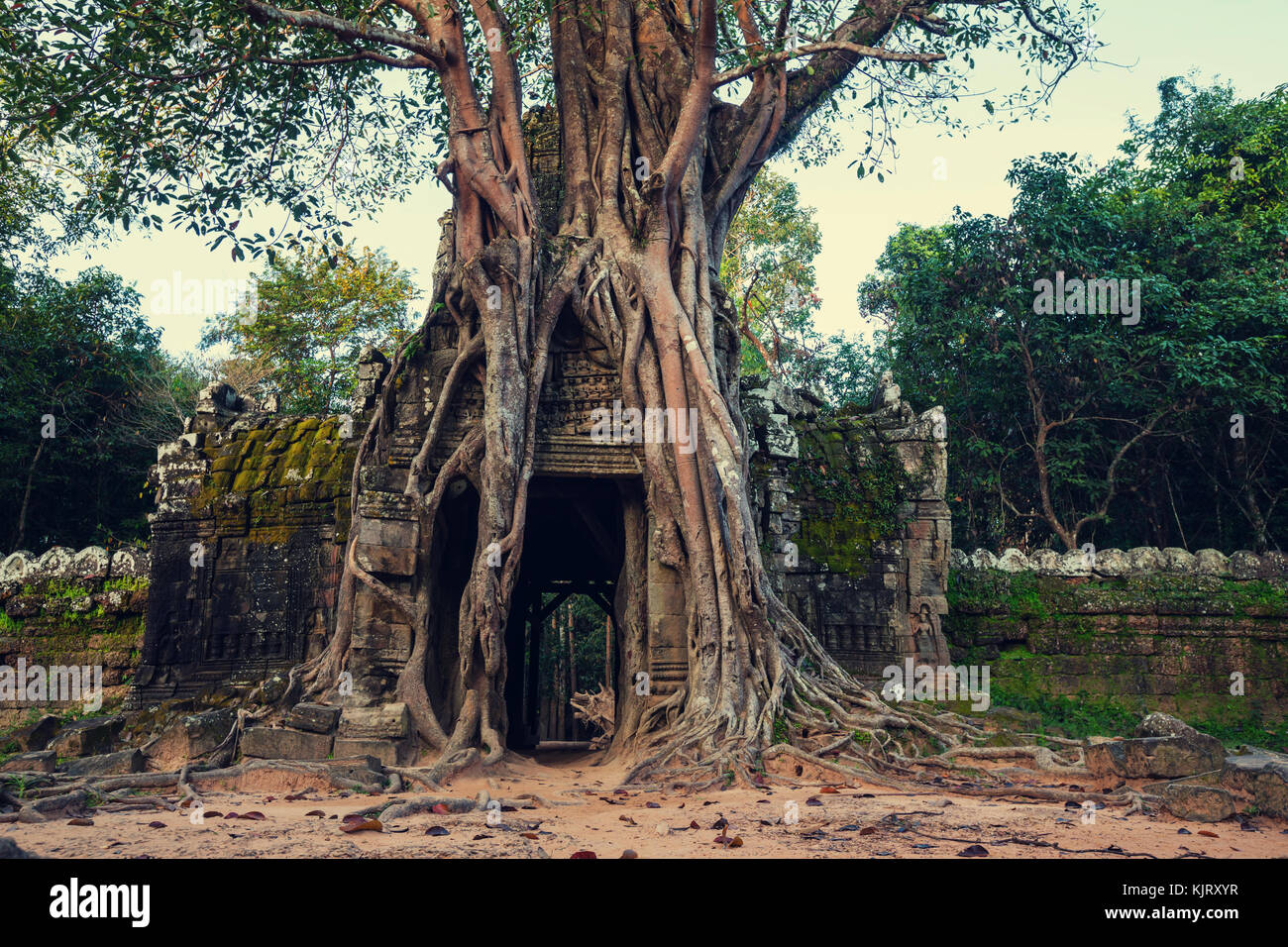 Ancient Khmer civilization ruins of Angkor near Siem Reap, Cambodia ...
