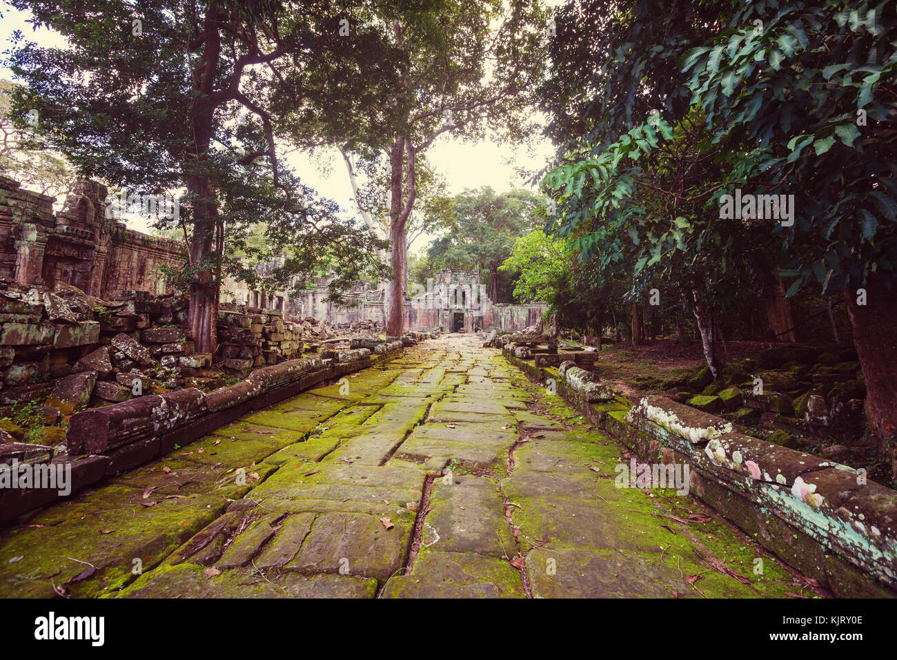 Ancient Khmer civilization ruins of Angkor near Siem Reap, Cambodia ...