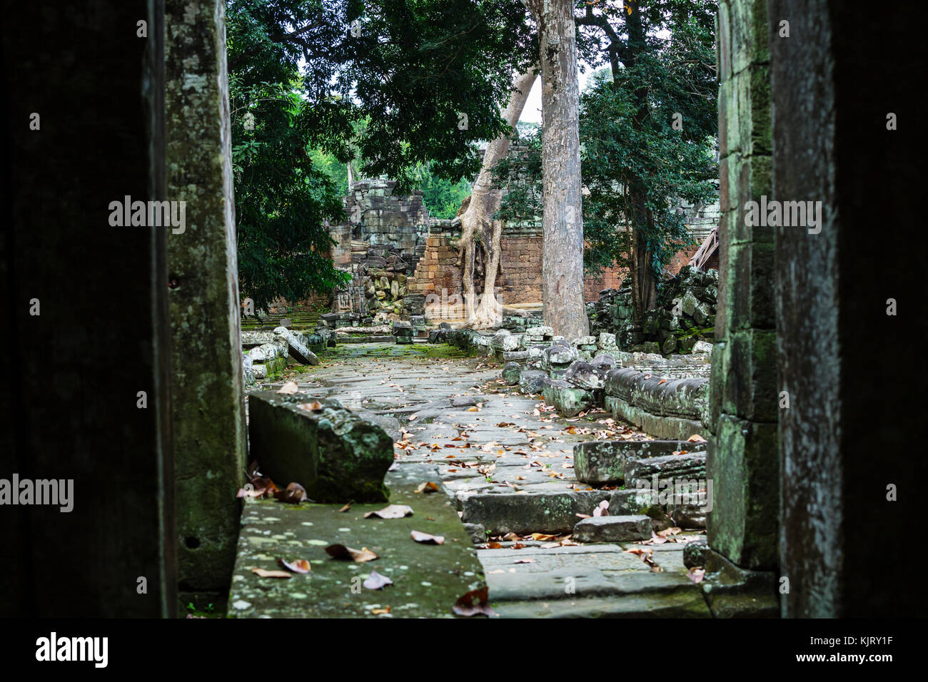Ancient Khmer civilization ruins of Angkor near Siem Reap, Cambodia ...