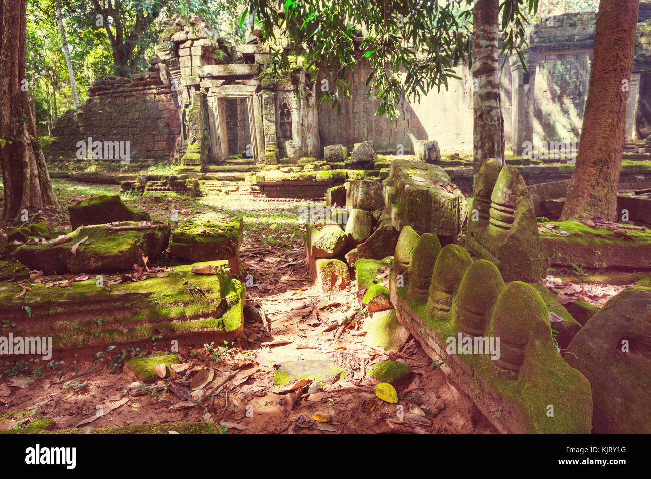 Ancient Khmer civilization ruins of Angkor near Siem Reap, Cambodia ...