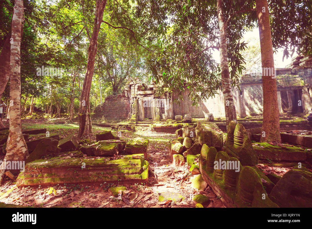 Ancient Khmer civilization ruins of Angkor near Siem Reap, Cambodia ...