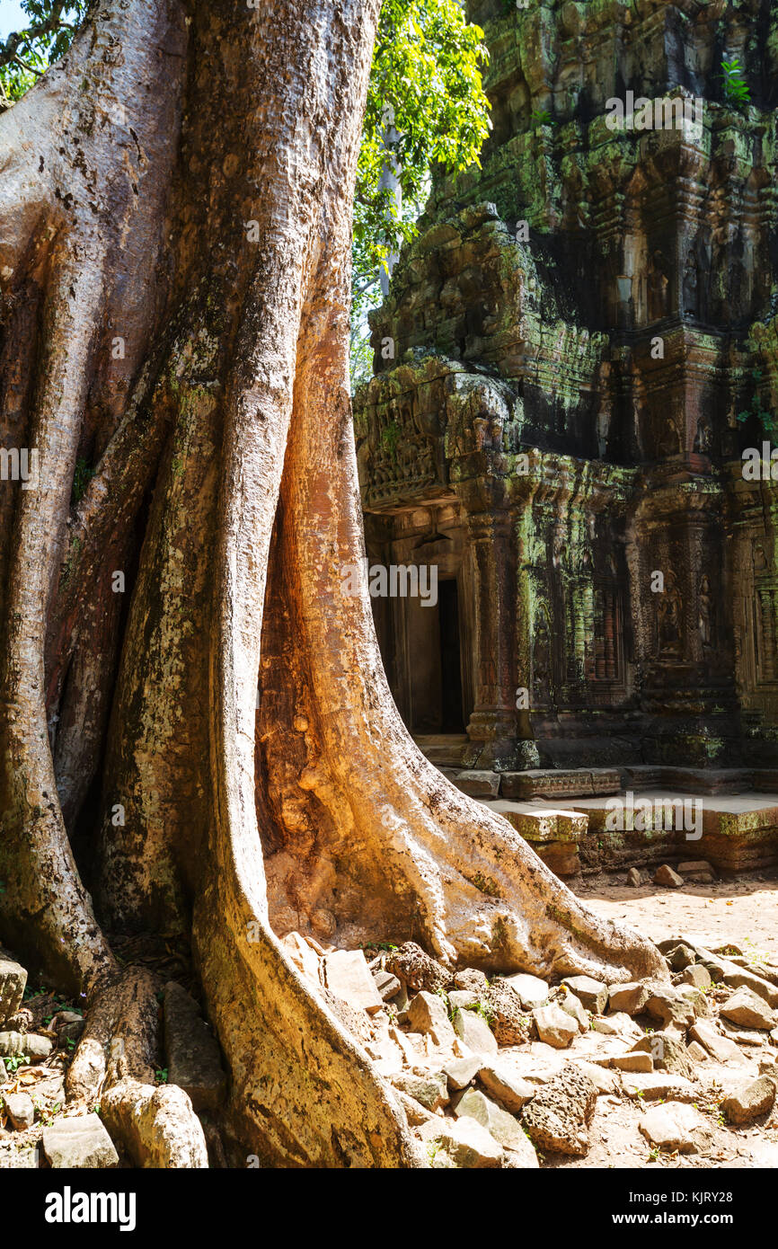 Ancient Khmer civilization ruins of Angkor near Siem Reap, Cambodia ...