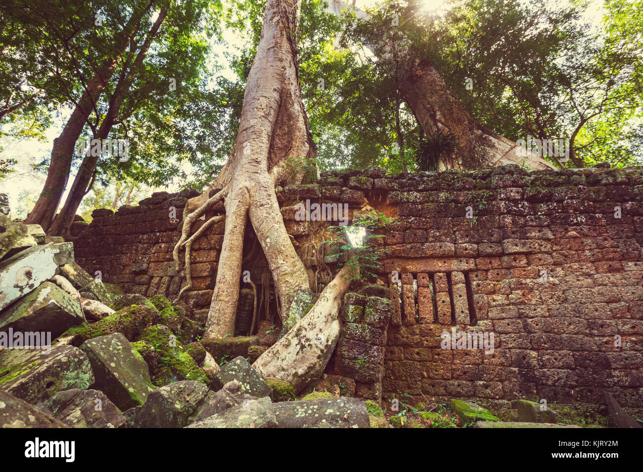 Ancient Khmer civilization ruins of Angkor near Siem Reap, Cambodia ...