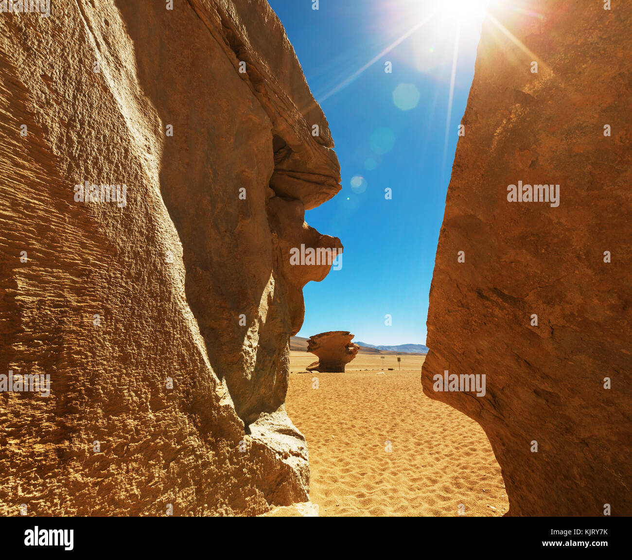 Arbol de piedra - Stone rock formation in Bolivia Stock Photo - Alamy