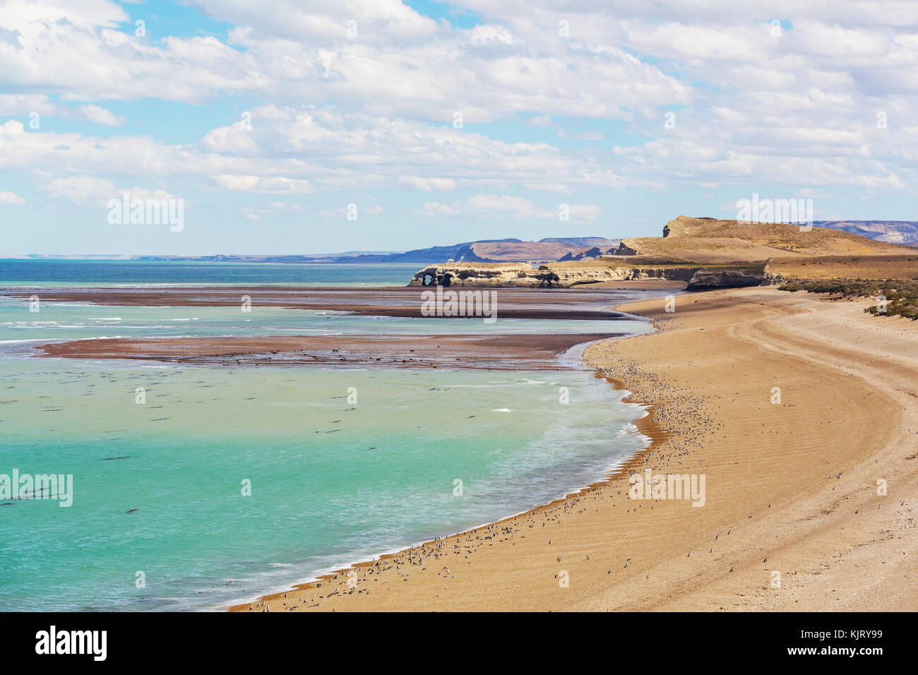 Patagonian Coast in Argentina Stock Photo - Alamy