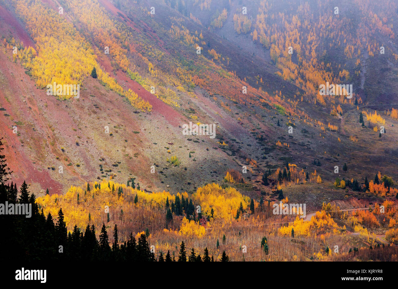 Autumn in Colorado Stock Photo - Alamy