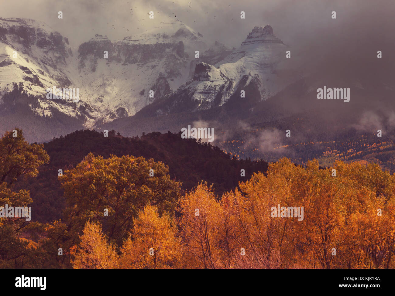 Autumn in Colorado Stock Photo - Alamy