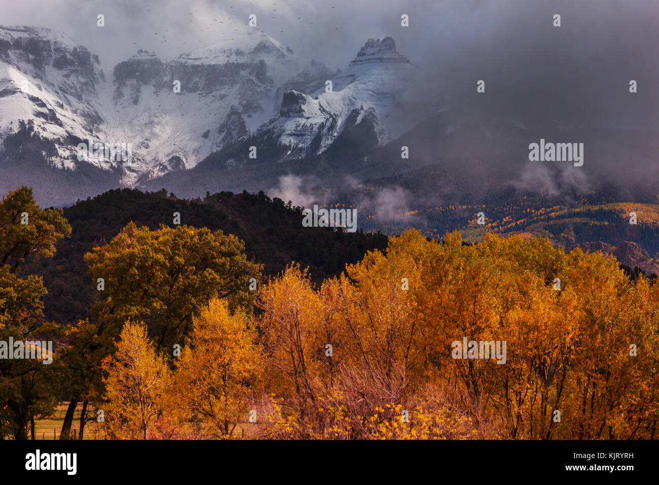 Autumn in Colorado Stock Photo - Alamy