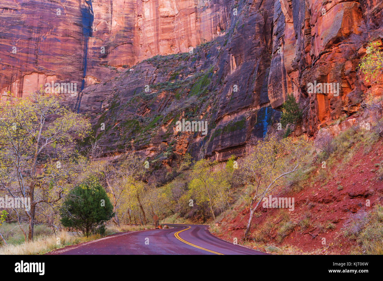 Autumn scene in Zion Stock Photo - Alamy
