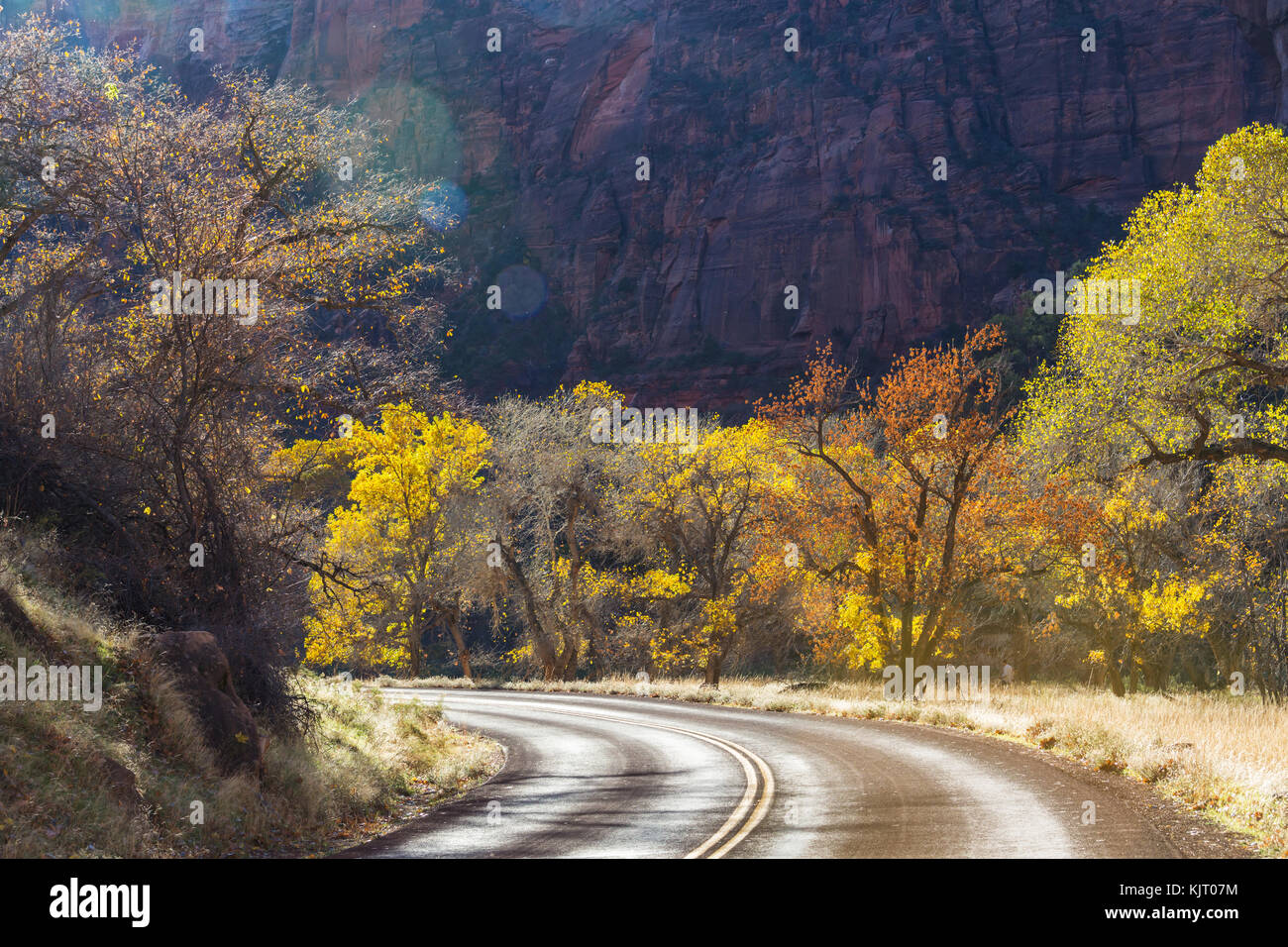 Autumn scene in Zion Stock Photo - Alamy