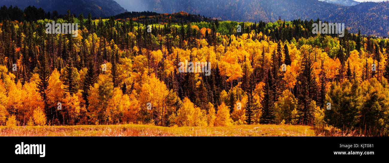 Colorful Autumn season in mountains Stock Photo - Alamy