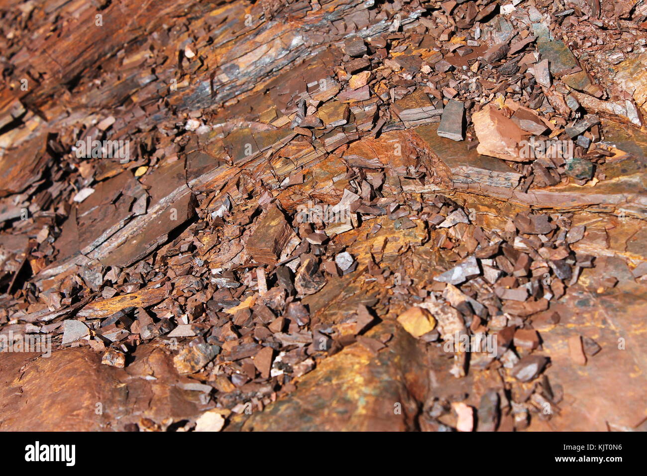 red chert rocks on a hill in the Marin Headlands in the Bay Area ...