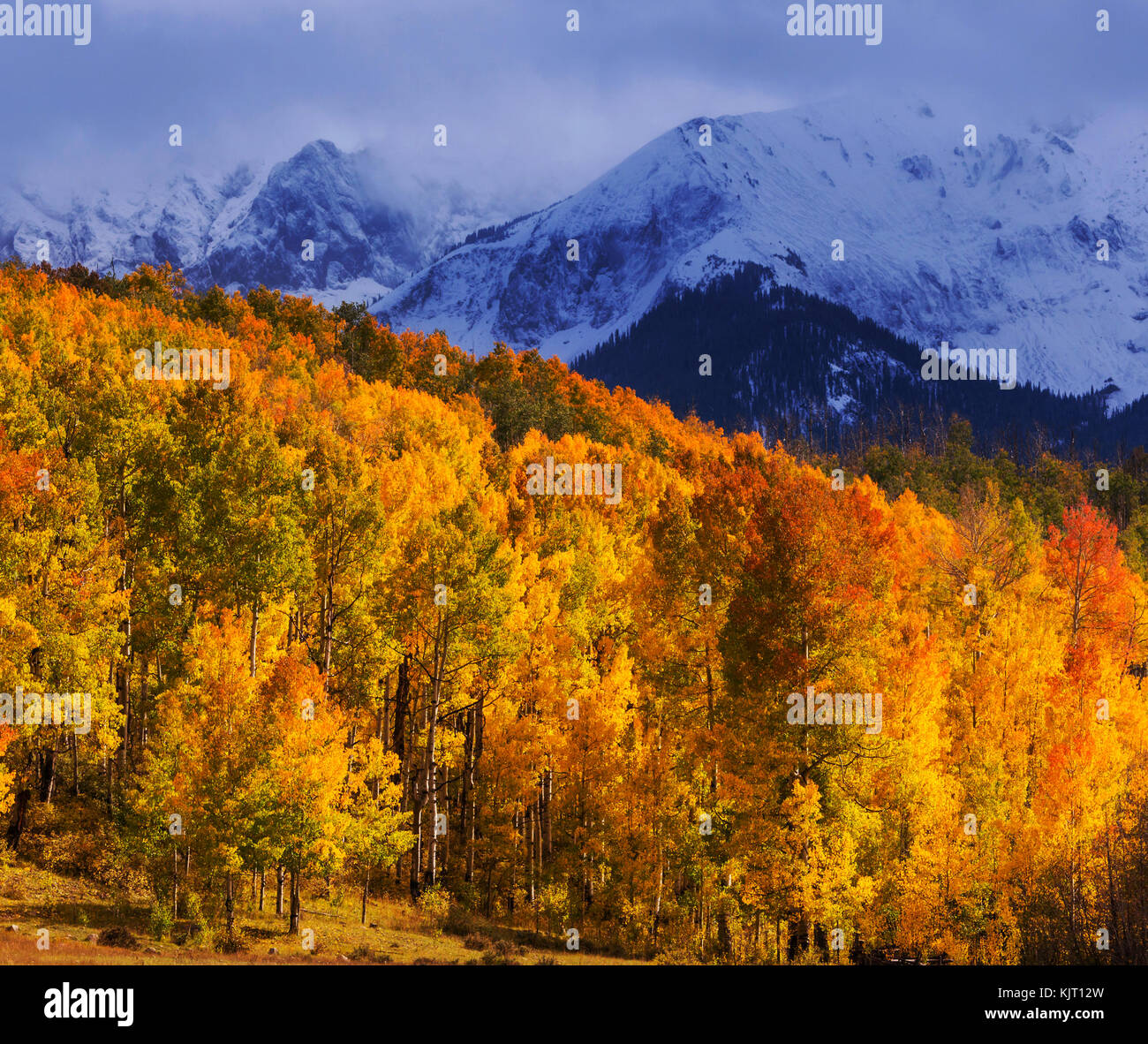 autumn season in mountains Stock Photo - Alamy