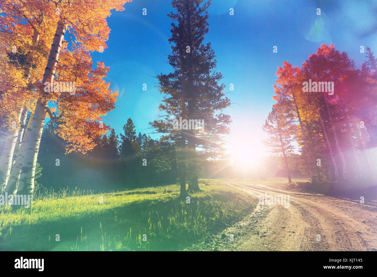 Colorful Autumn scene on countryside road in the sunny morning in ...