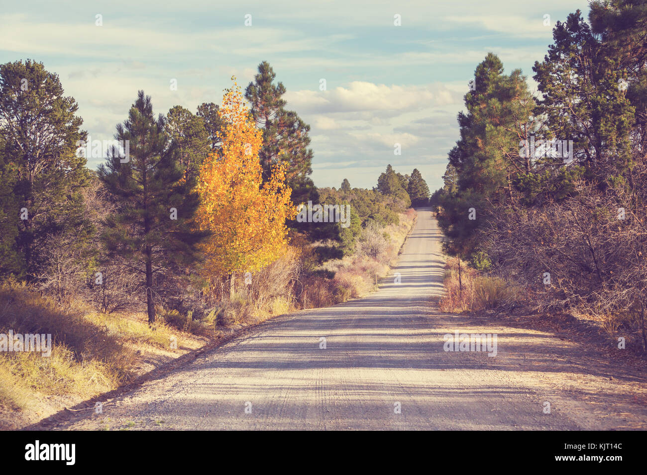 Colorful Autumn scene on countryside road in the sunny morning in ...