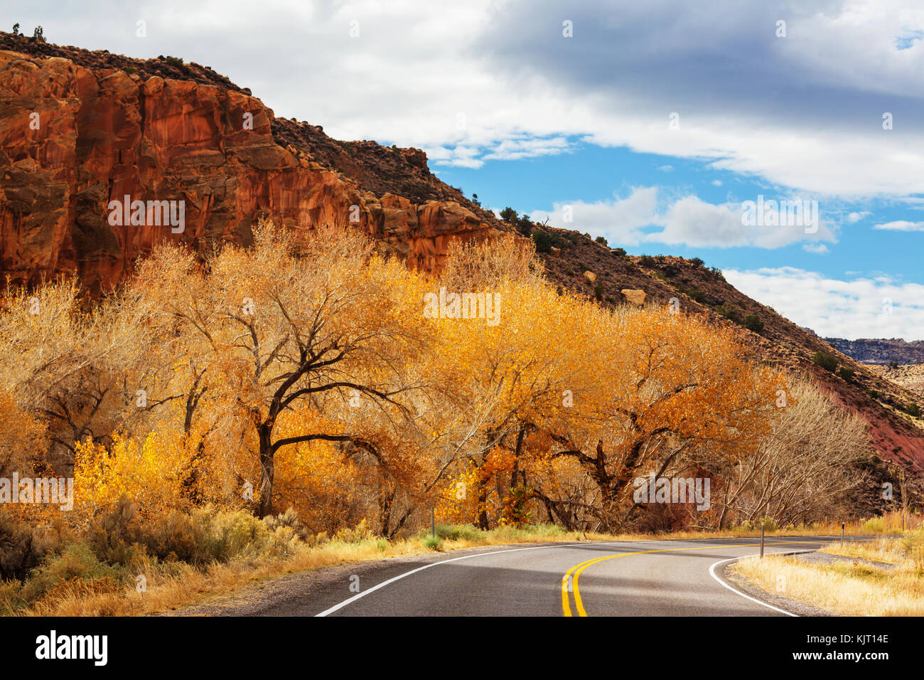 Colorful Autumn scene on countryside road in the sunny morning in ...