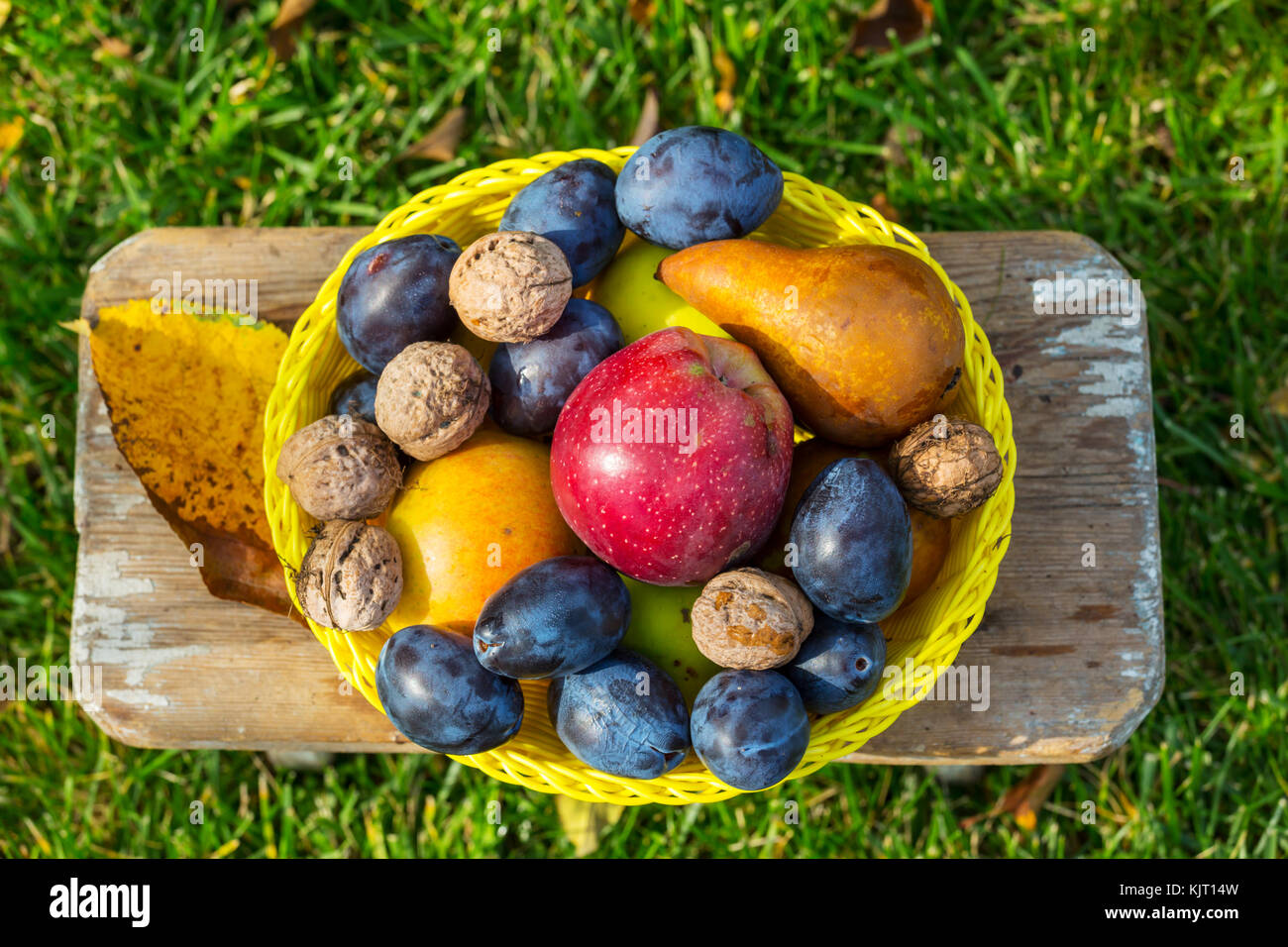 Fall season scene with crop of fruits and walnuts in the garden. Beauty ...