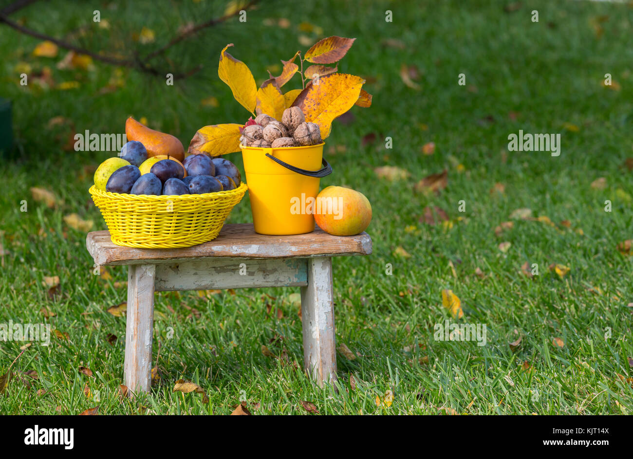 Fall season scene with crop of fruits and walnuts in the garden. Beauty ...