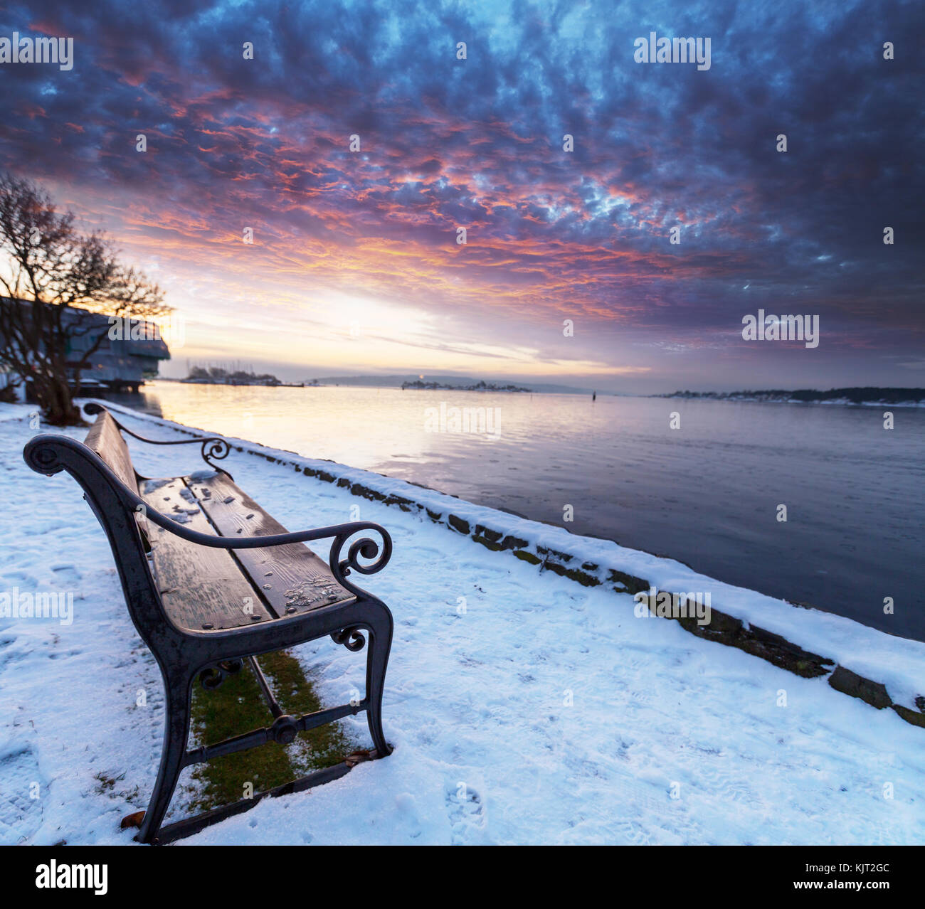bench in winter Stock Photo - Alamy