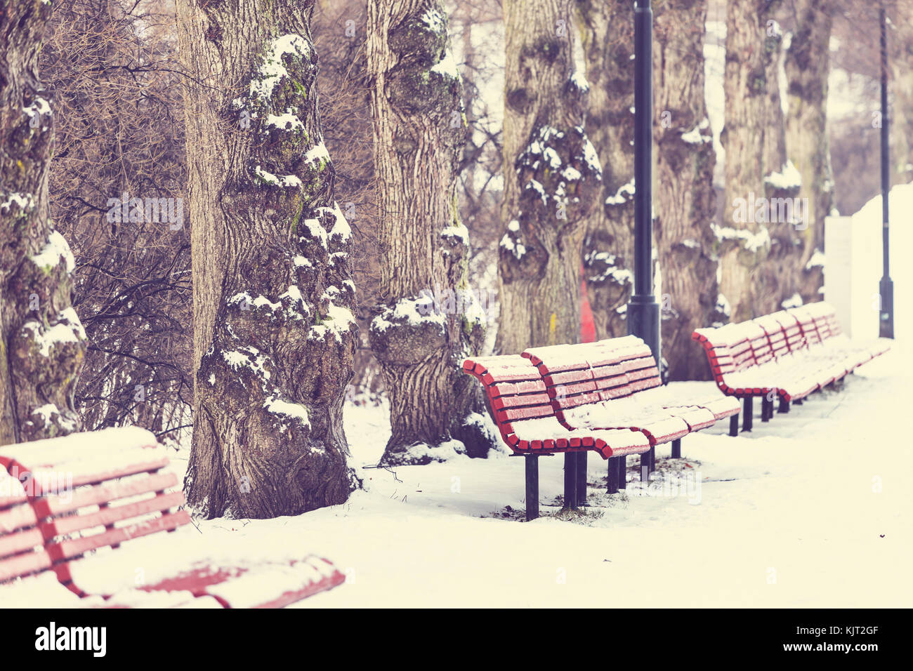 bench in winter Stock Photo - Alamy
