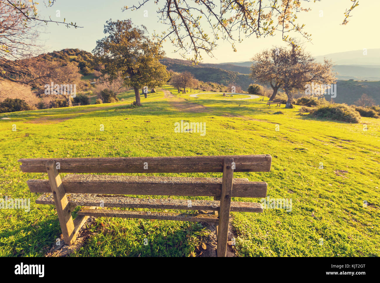 Bench in garden at sunrice in spring season Stock Photo - Alamy