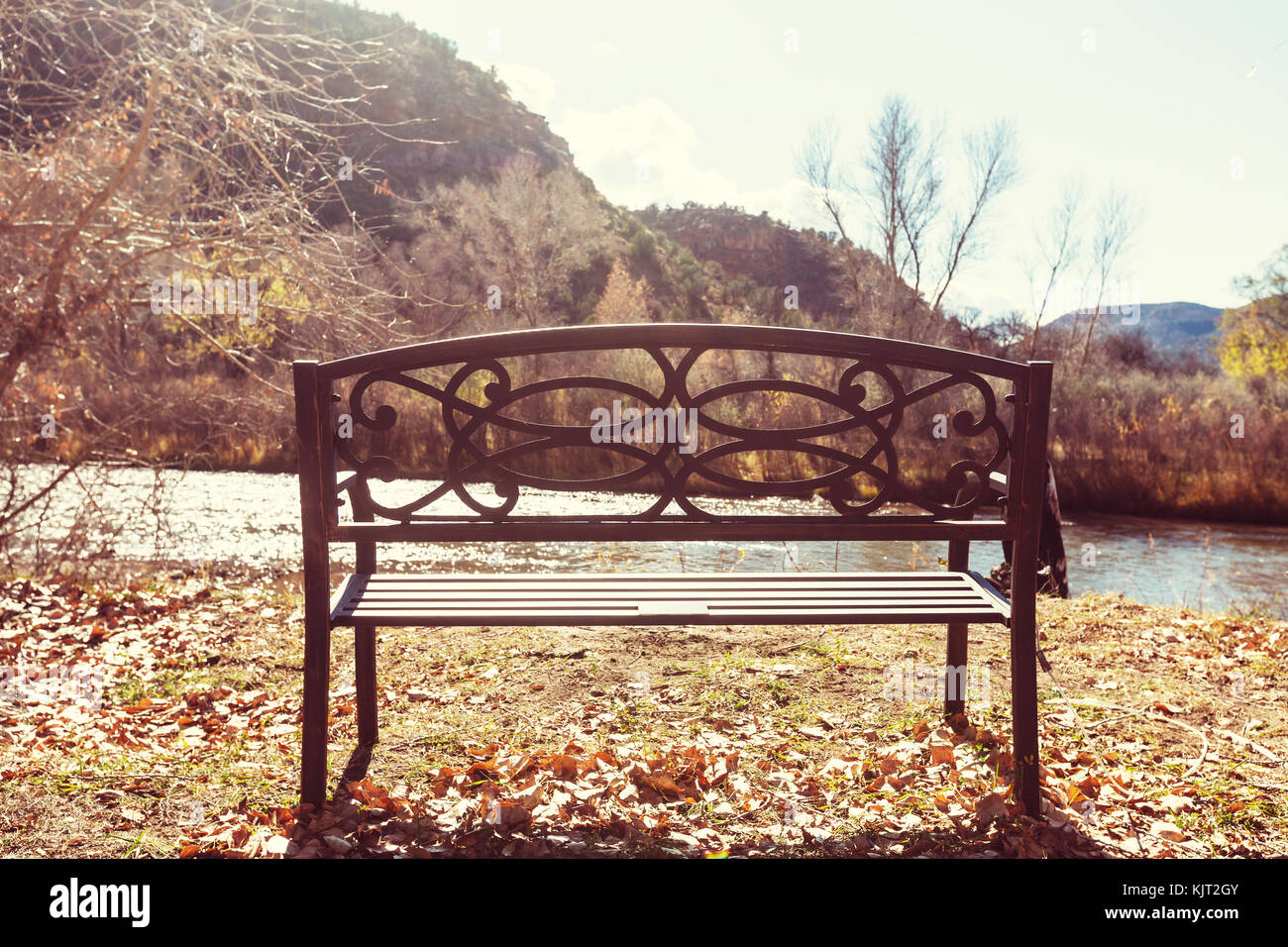 Bench in garden at sunrice in spring season Stock Photo - Alamy