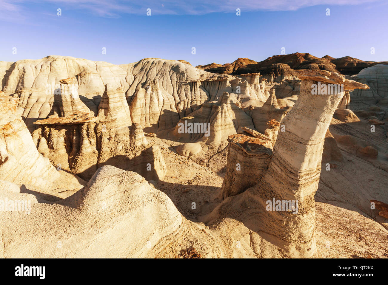 Bisti badlands, De-na-zin wilderness area, New Mexico, USA Stock Photo ...