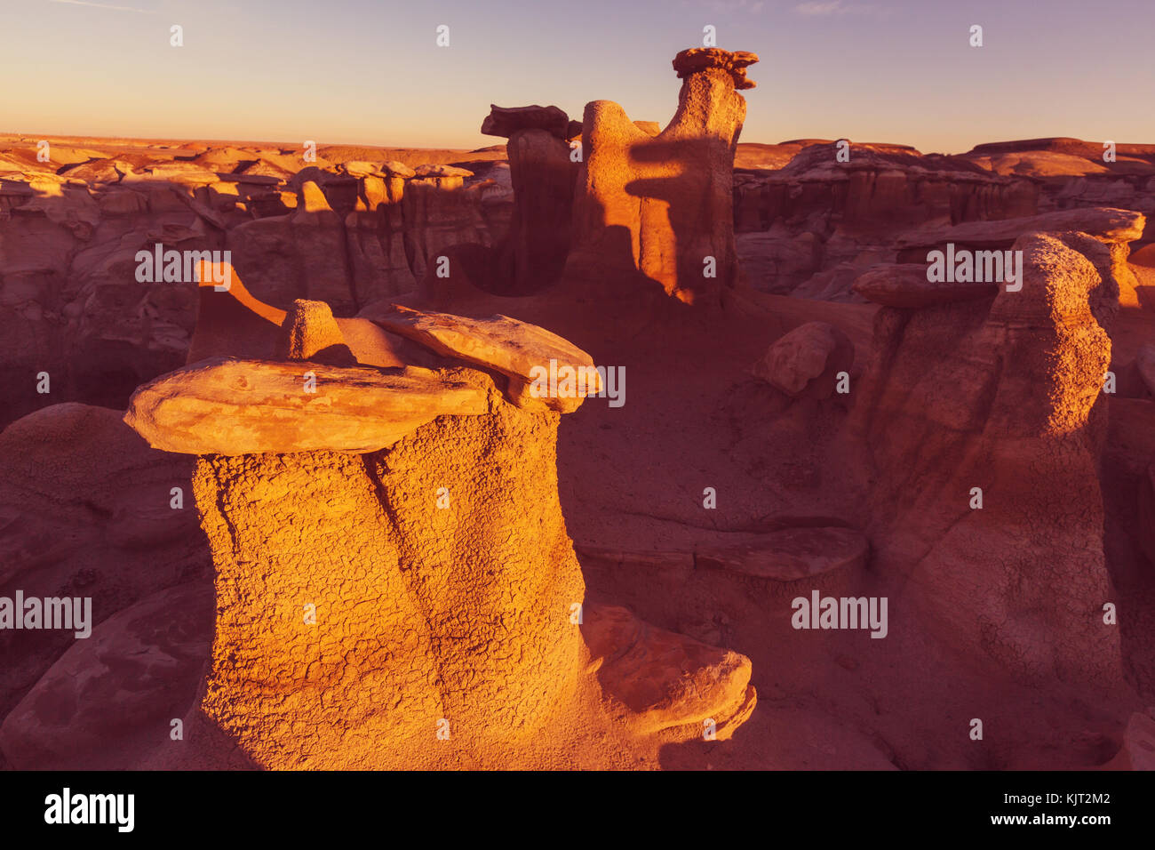 Bisti badlands, De-na-zin wilderness area, New Mexico, USA Stock Photo ...