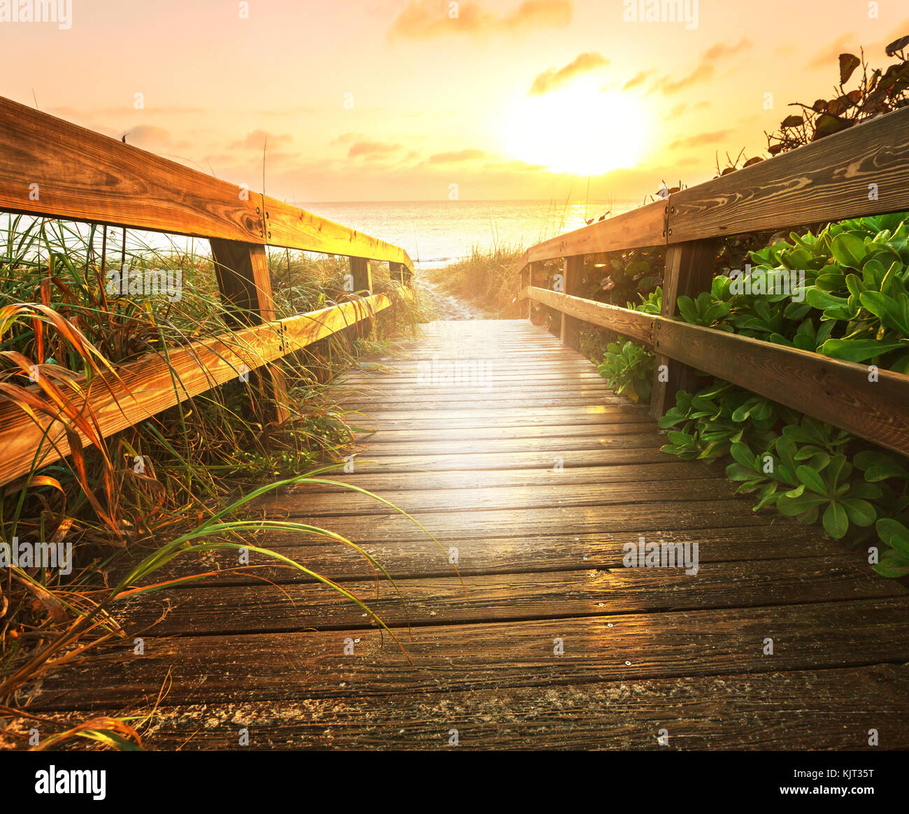 boardwalk on beach Stock Photo - Alamy