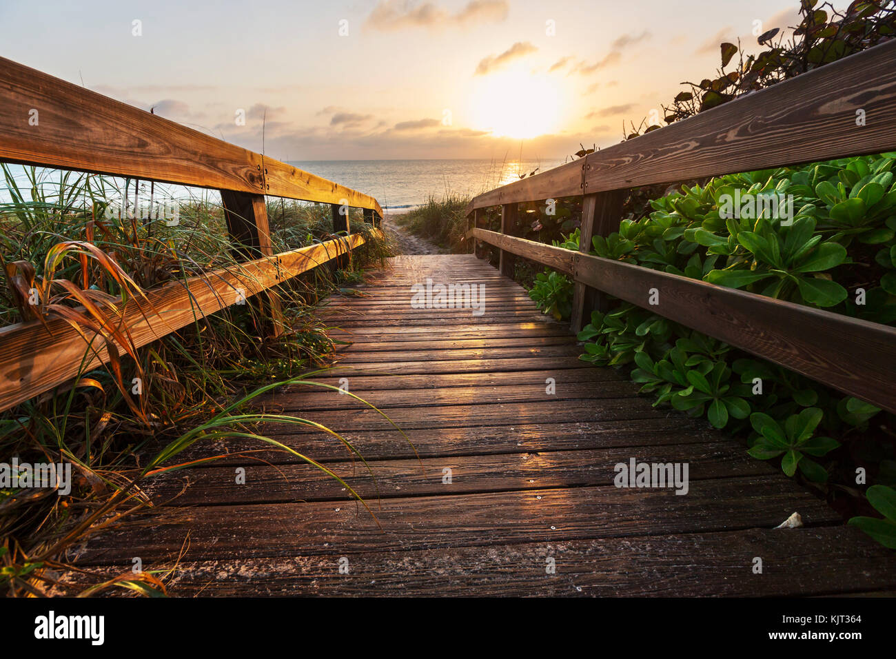 boardwalk on beach Stock Photo - Alamy