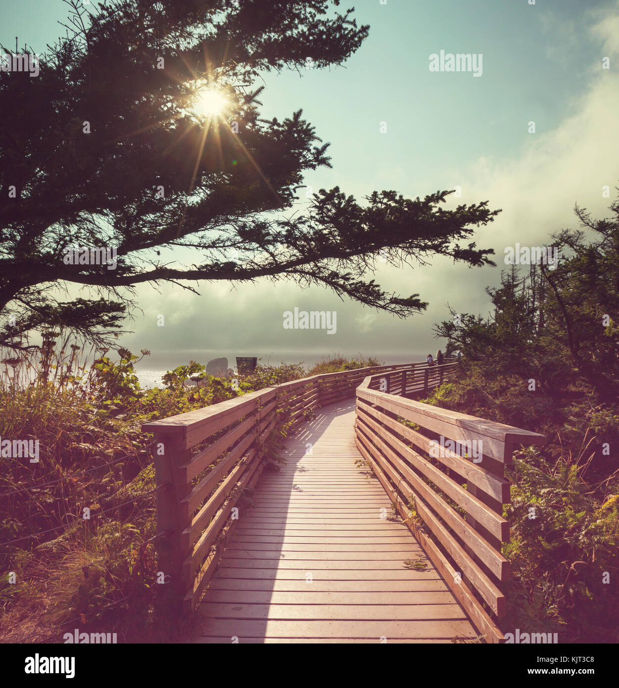 Boardwalk on beach Stock Photo - Alamy