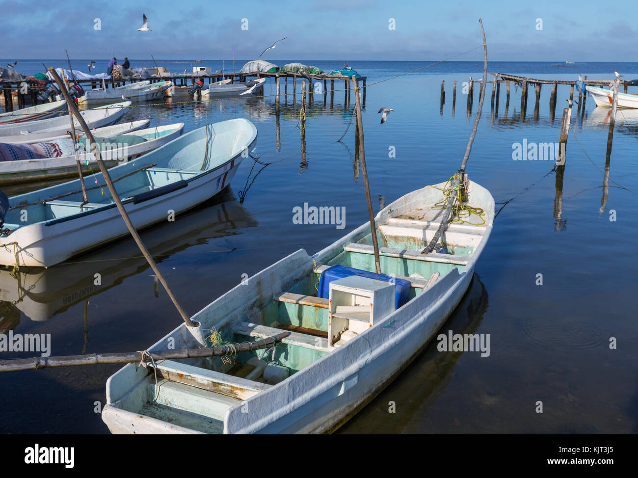 Fishing boats in Mexico Stock Photo - Alamy