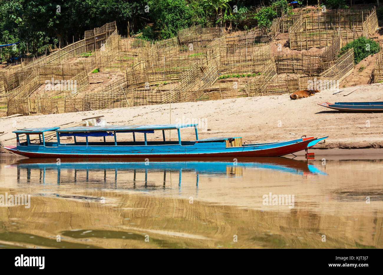 traditional boats in Laos Stock Photo - Alamy