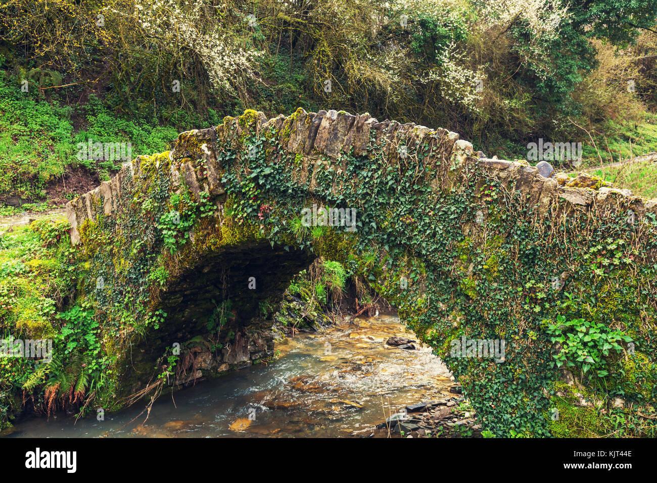 Traditional stone bridge in Greece Stock Photo - Alamy