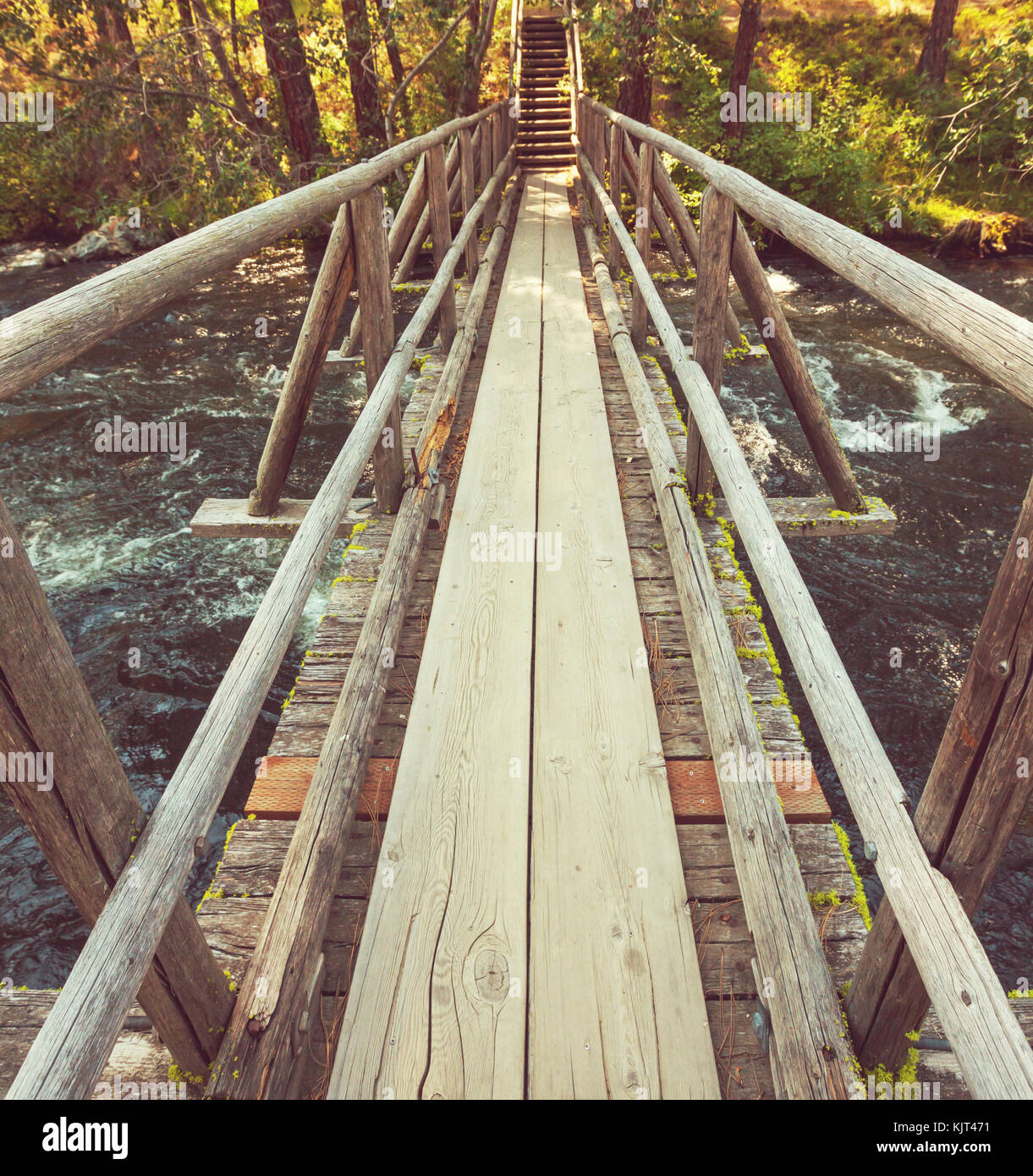 Bridge in forest Stock Photo - Alamy