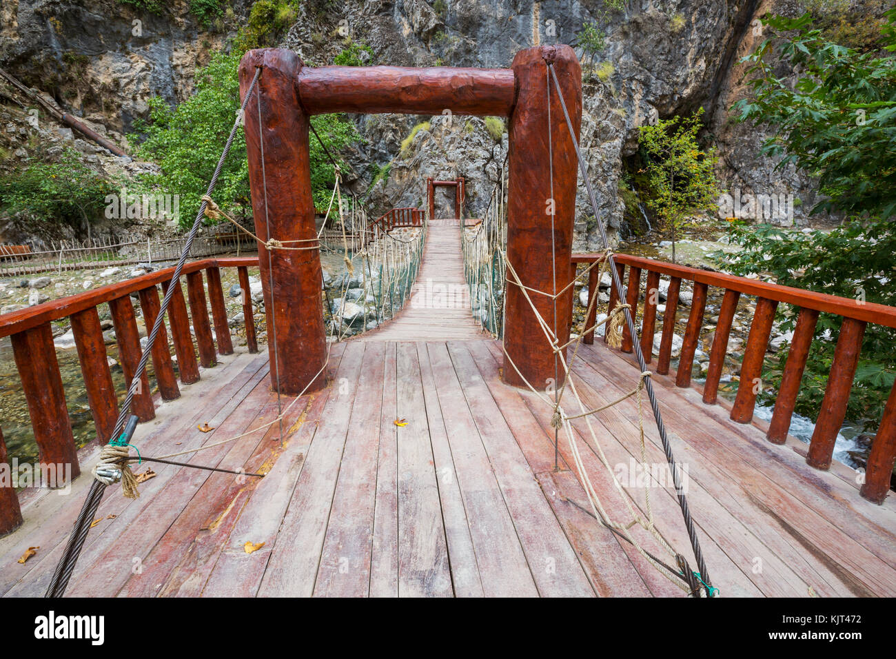 Bridge in forest Stock Photo - Alamy