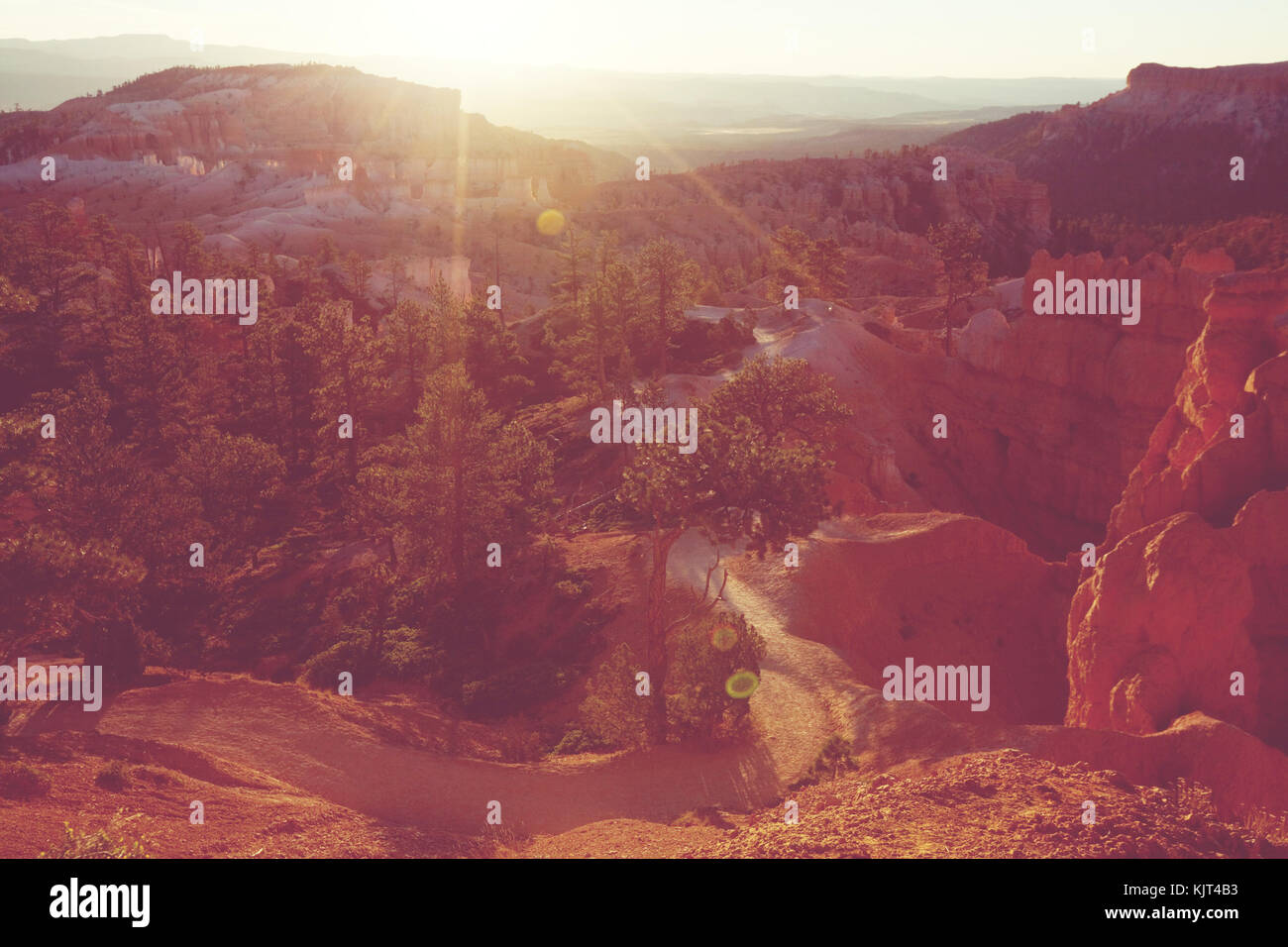 Picturesque colorful pink rocks of the Bryce Canyon National park in ...