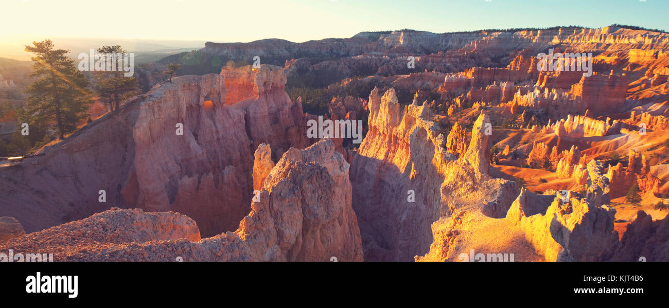 Picturesque colorful pink rocks of the Bryce Canyon National park in ...