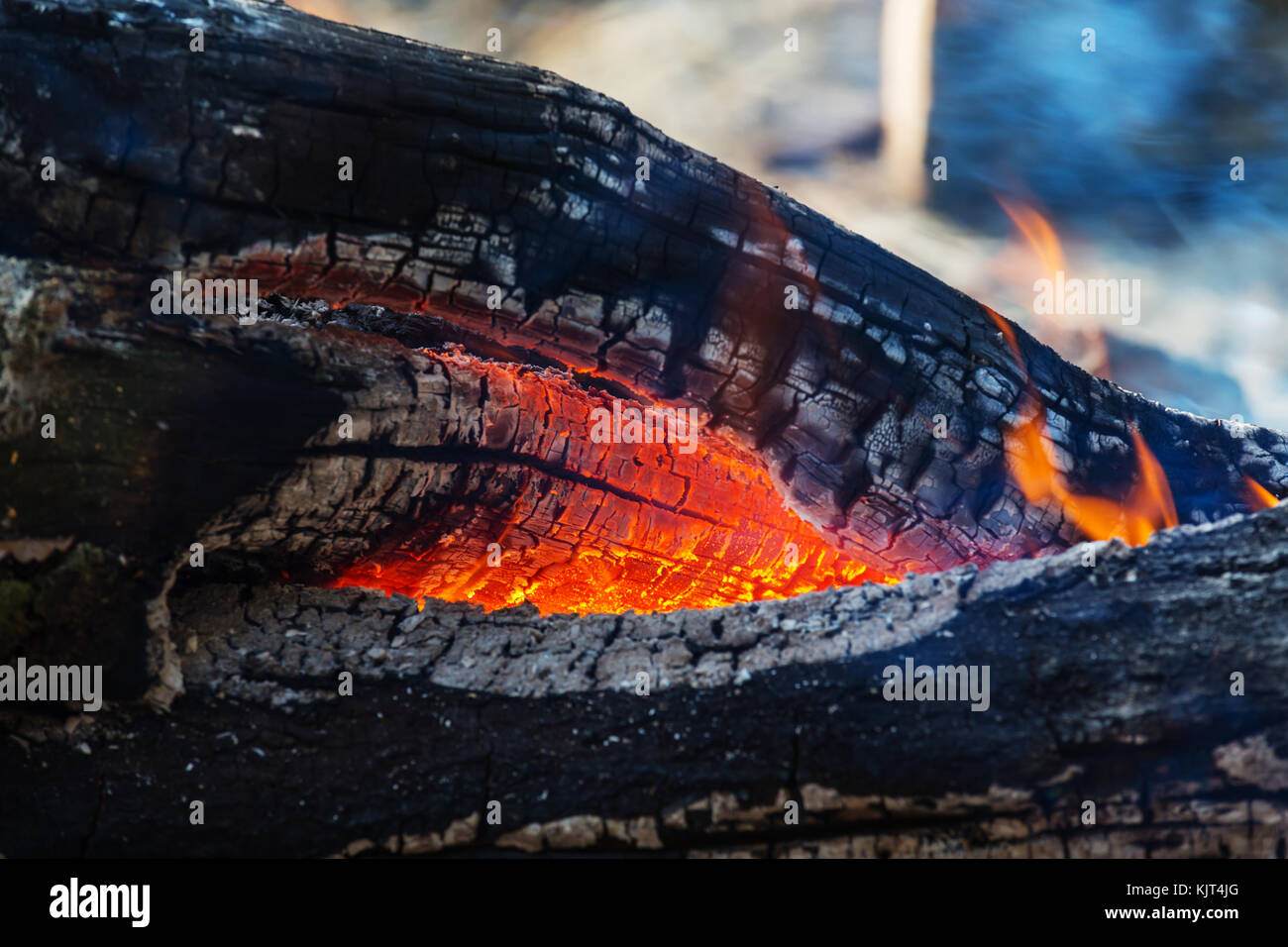 campfire in spring forest Stock Photo - Alamy