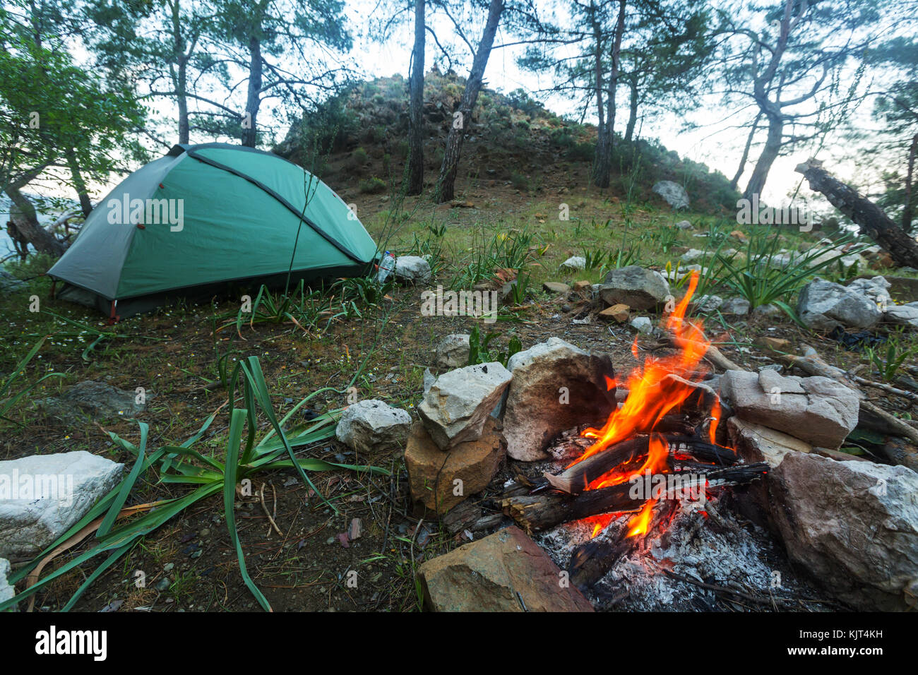 Campfire, close up shot Stock Photo - Alamy