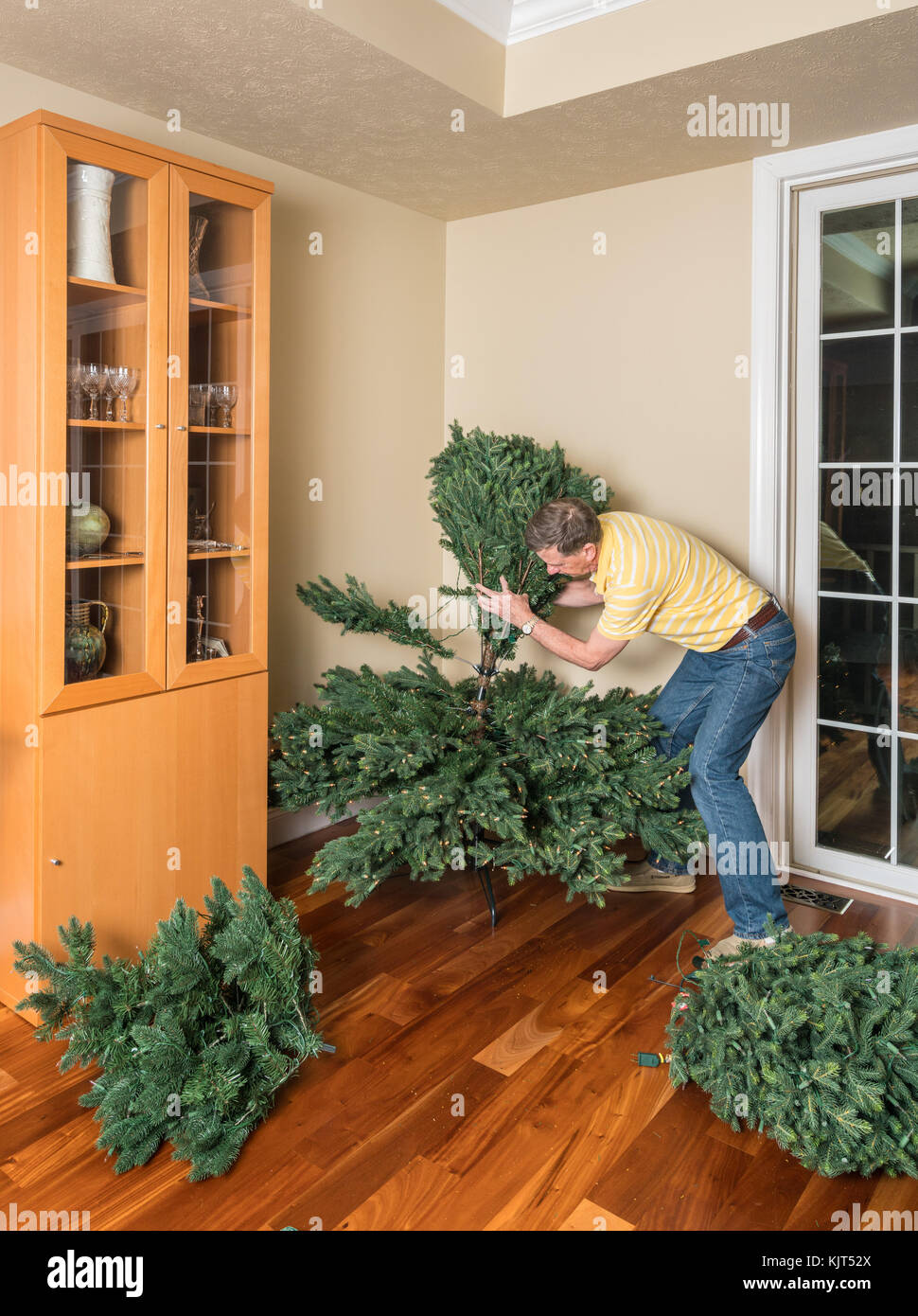 Senior man putting artificial christmas tree together for XMAS Stock ...