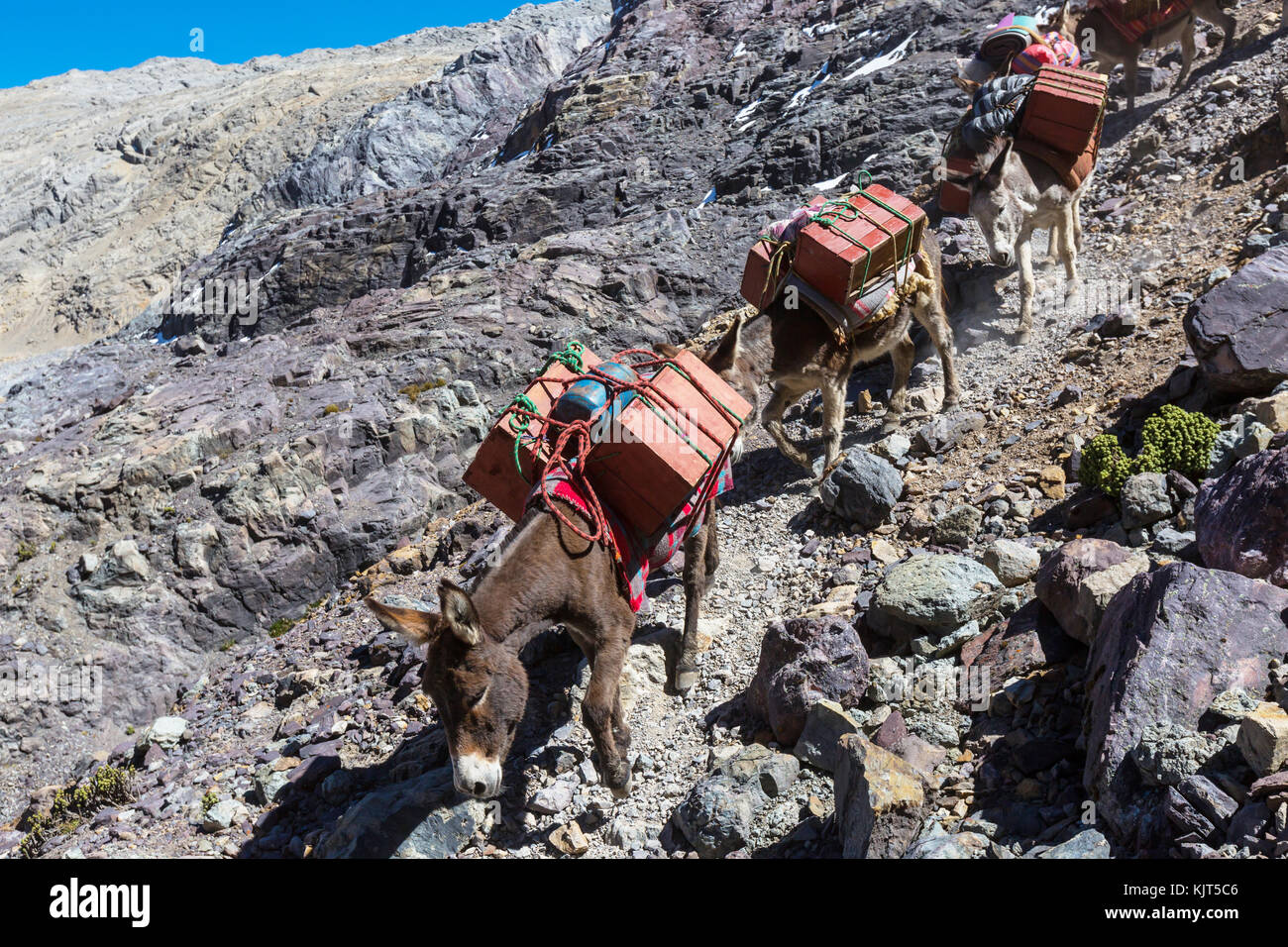Peru huaraz landscape donkey hi-res stock photography and images - Alamy