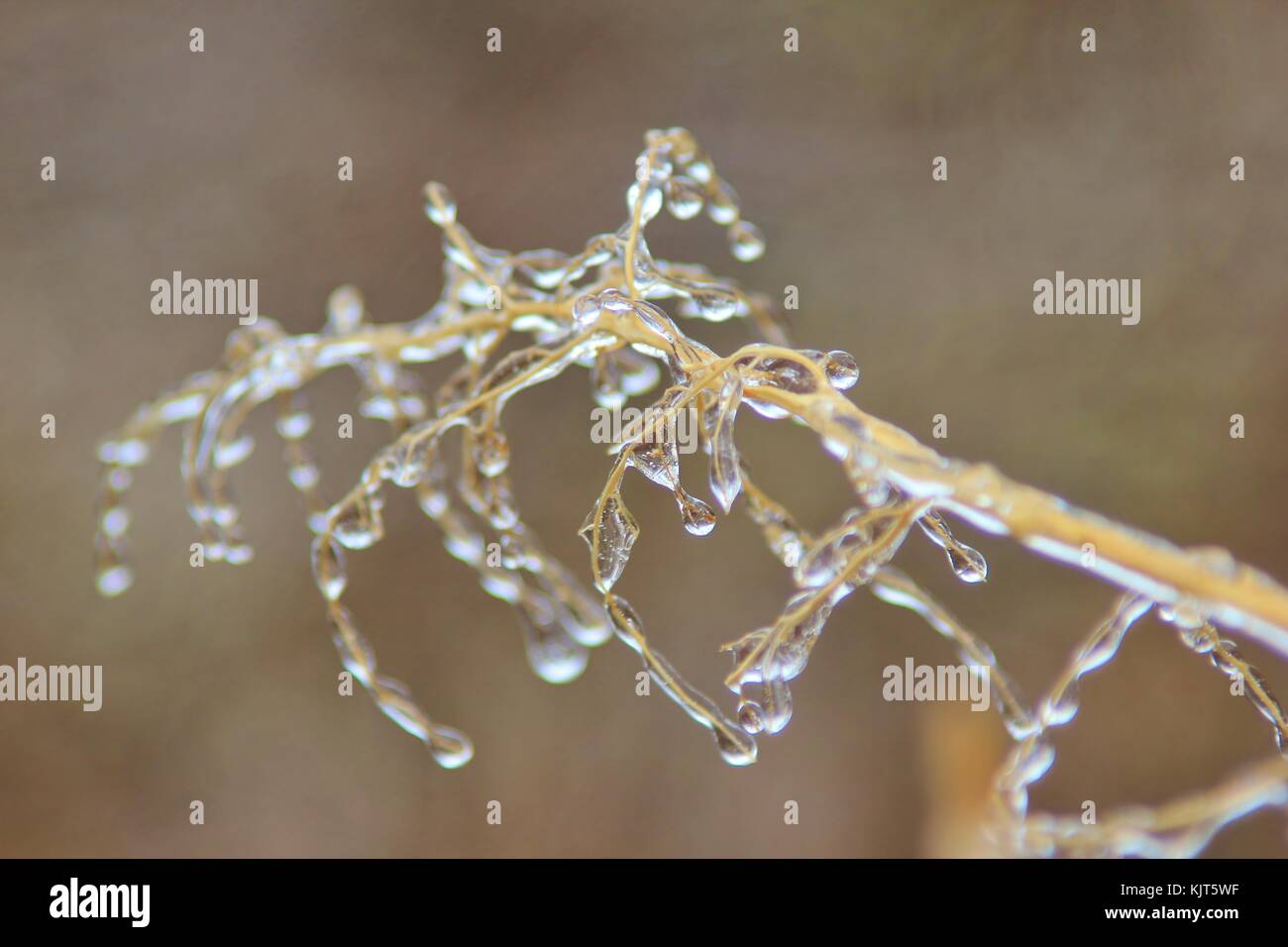 Icicle patterns hi-res stock photography and images - Alamy