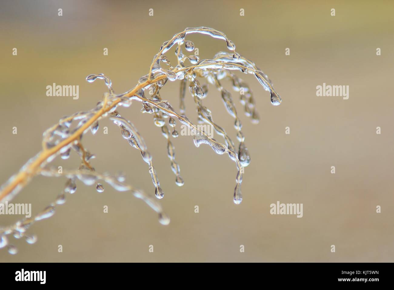 Icicle patterns hi-res stock photography and images - Alamy