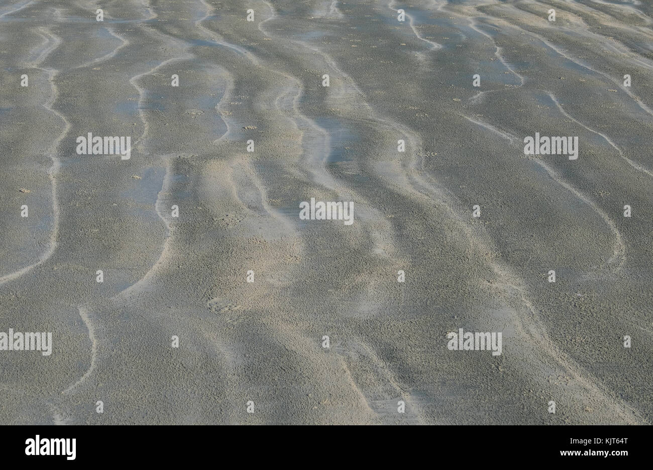 Sand texture on the beach of the warm sea Stock Photo - Alamy