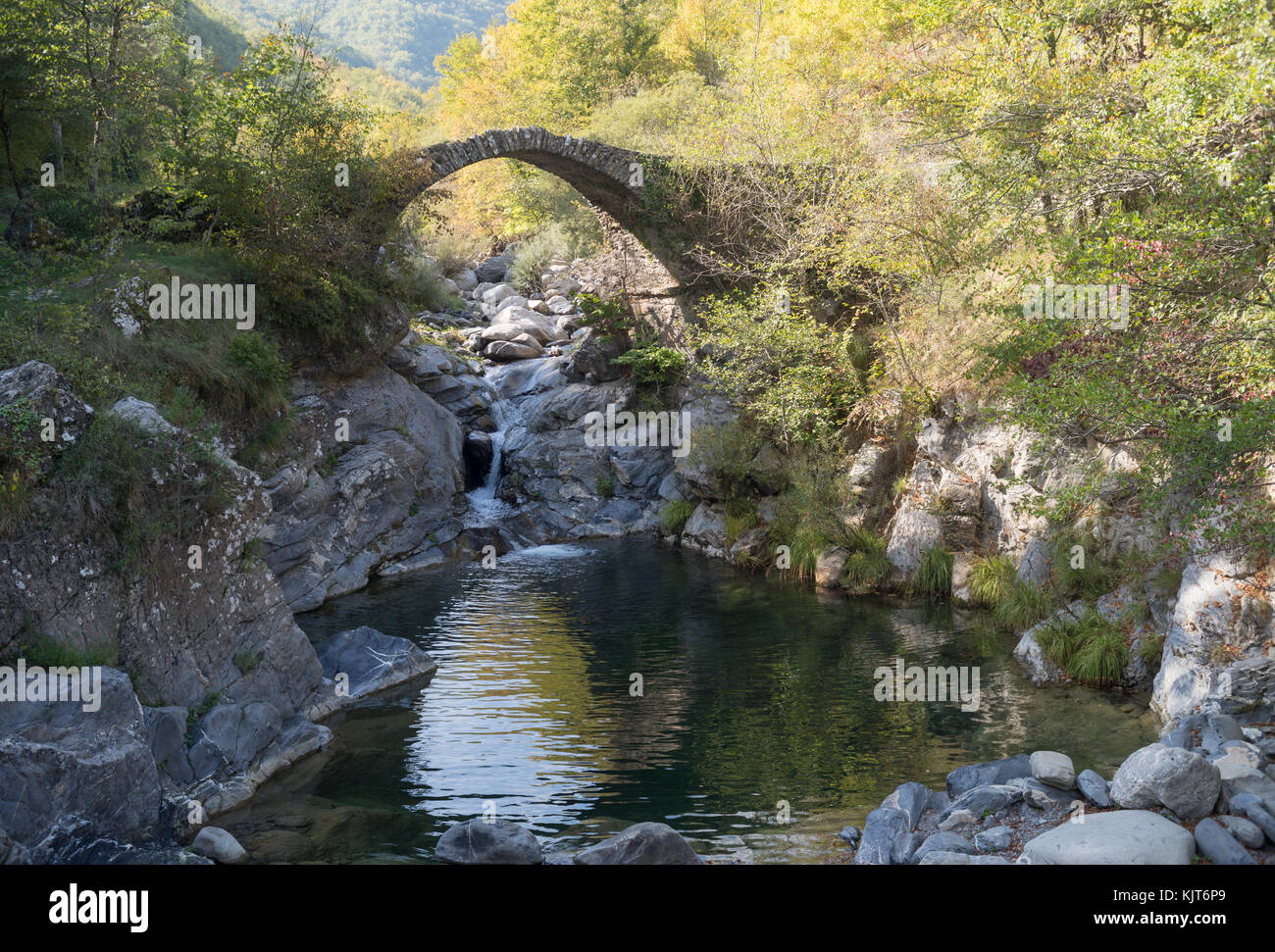Ruins of arch bridge in mountains, Rezzo municipality, Province of ...
